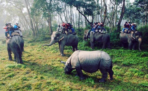 Chitwan Jungle Safari